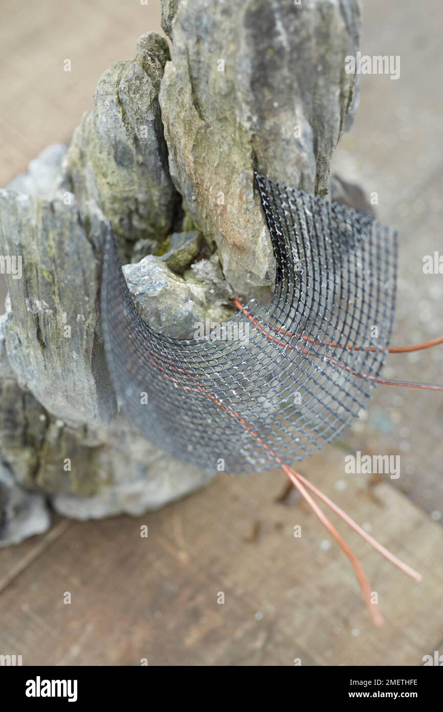 Penjing Rock Planting, Attaching copper fixing wires to the rock with ...