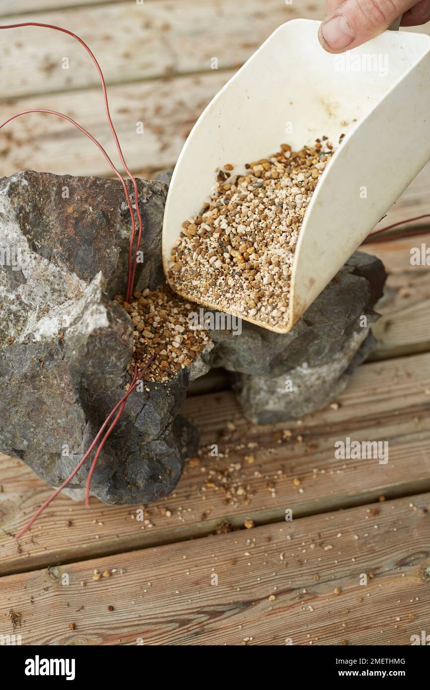 Creating a rock planting, filling crevice with soil Stock Photo - Alamy