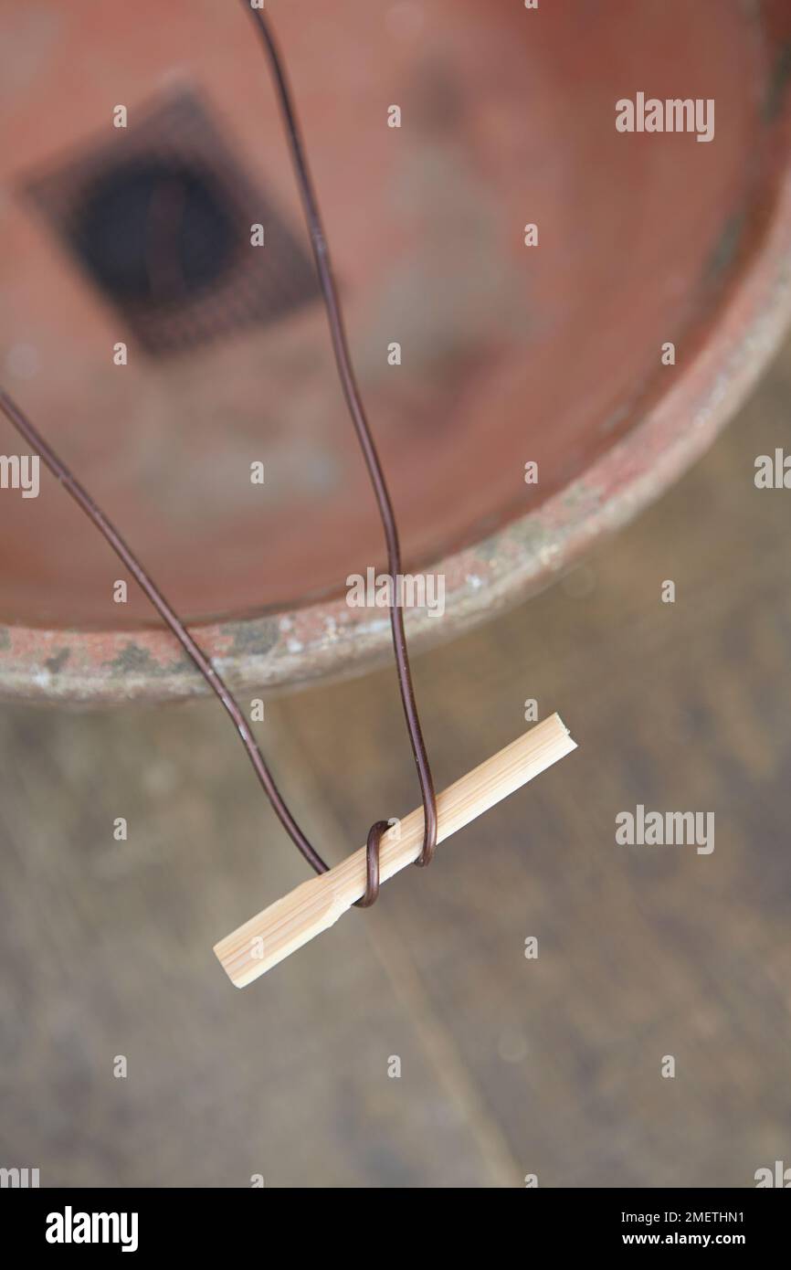 Making a root-over-rock bonsai, preparing the pot, attaching the anchor ...