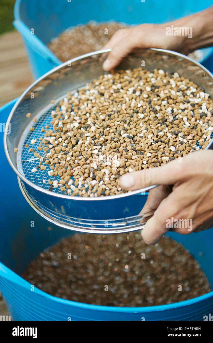 Sieving bonsai soil Stock Photo - Alamy