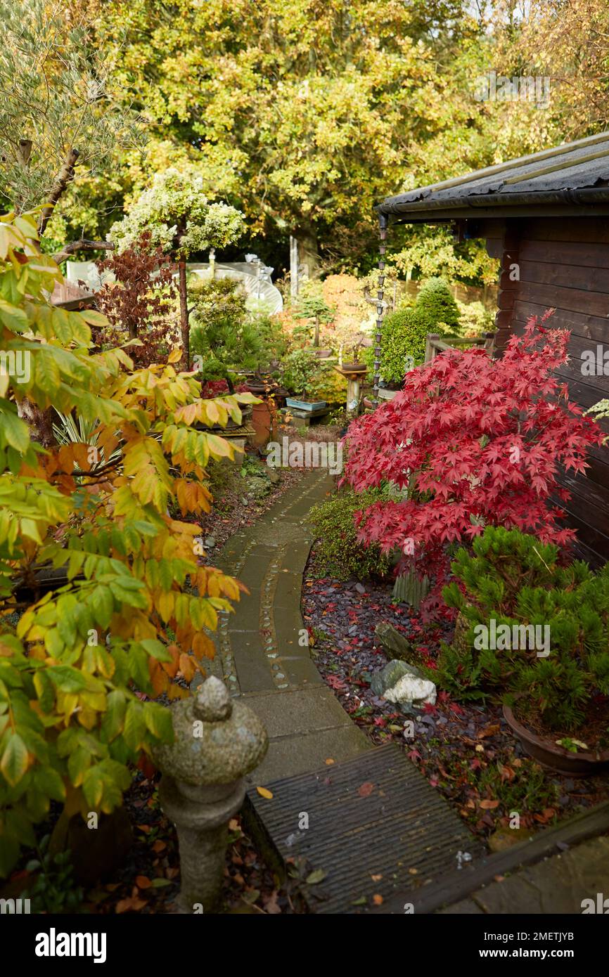 Japanese bonsai trees hi-res stock photography and images - Alamy