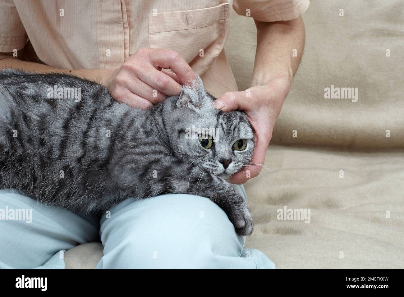 Checking indoor hi-res stock photography and images - Alamy