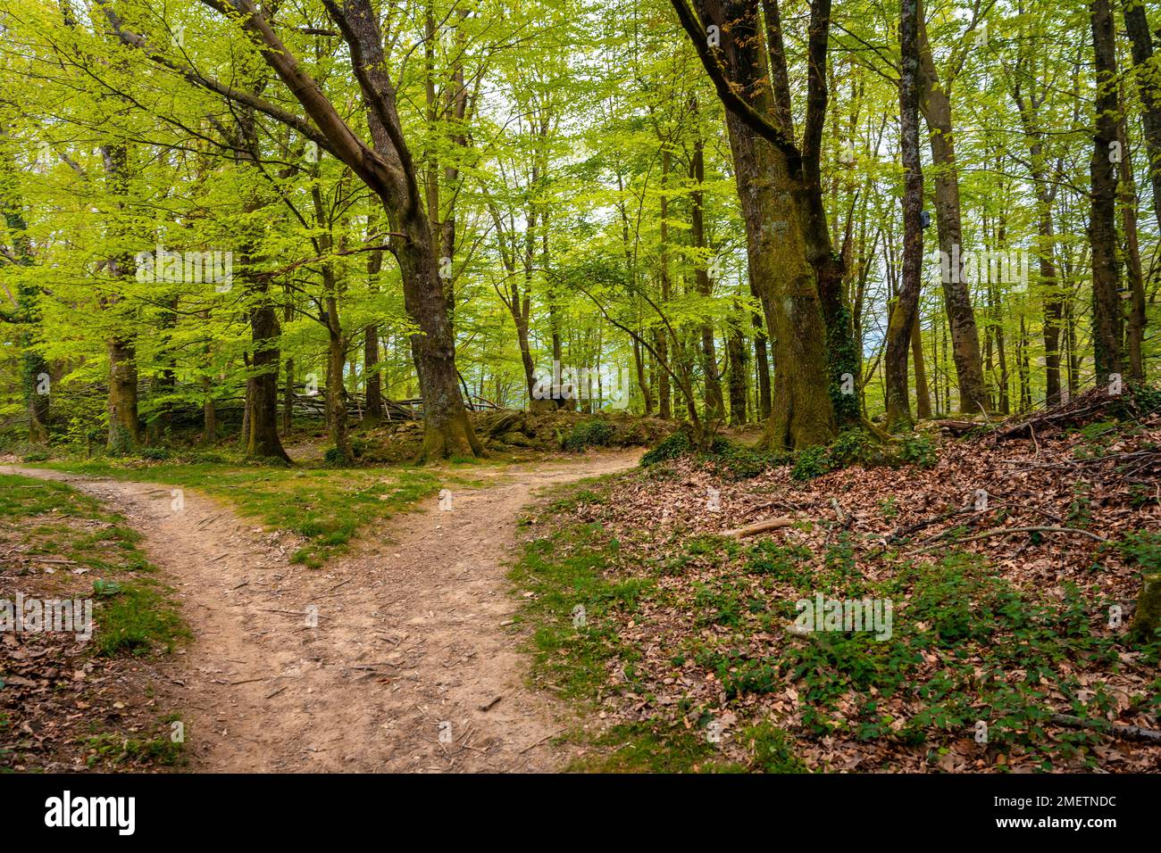 Basque country nature landscape hi-res stock photography and images - Alamy