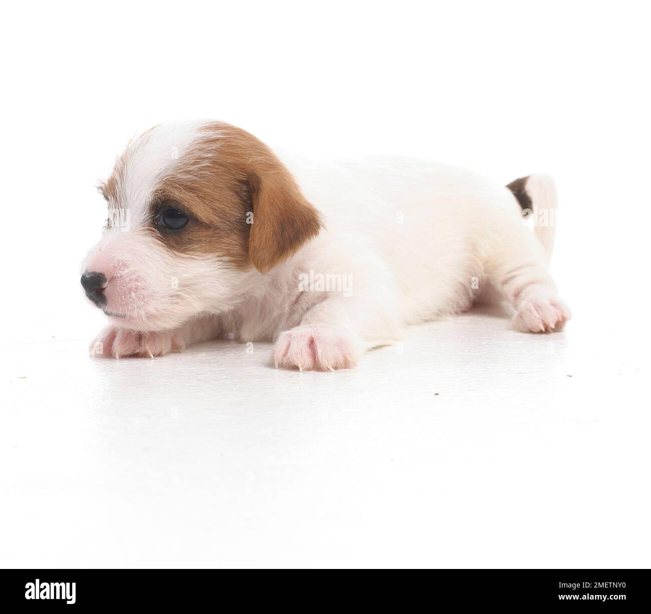 Cross russell Cut Out Stock Images & Pictures - Alamy