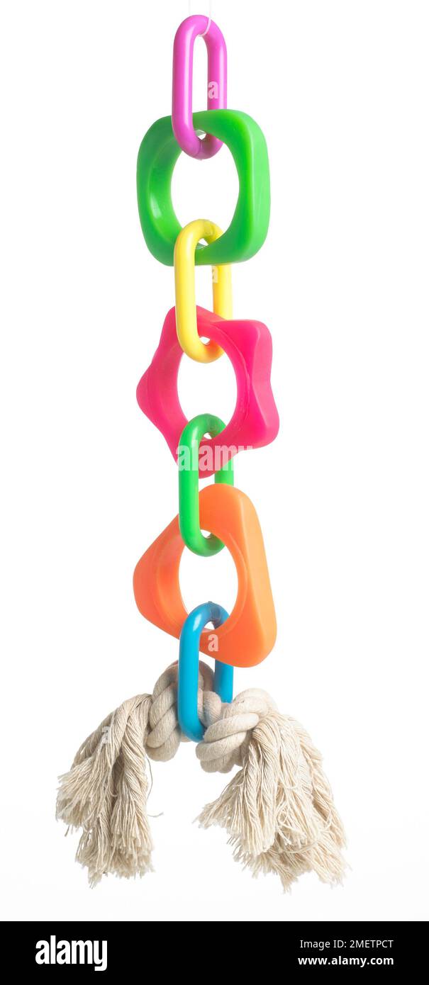 Pet birds hi-res stock photography and images - Alamy