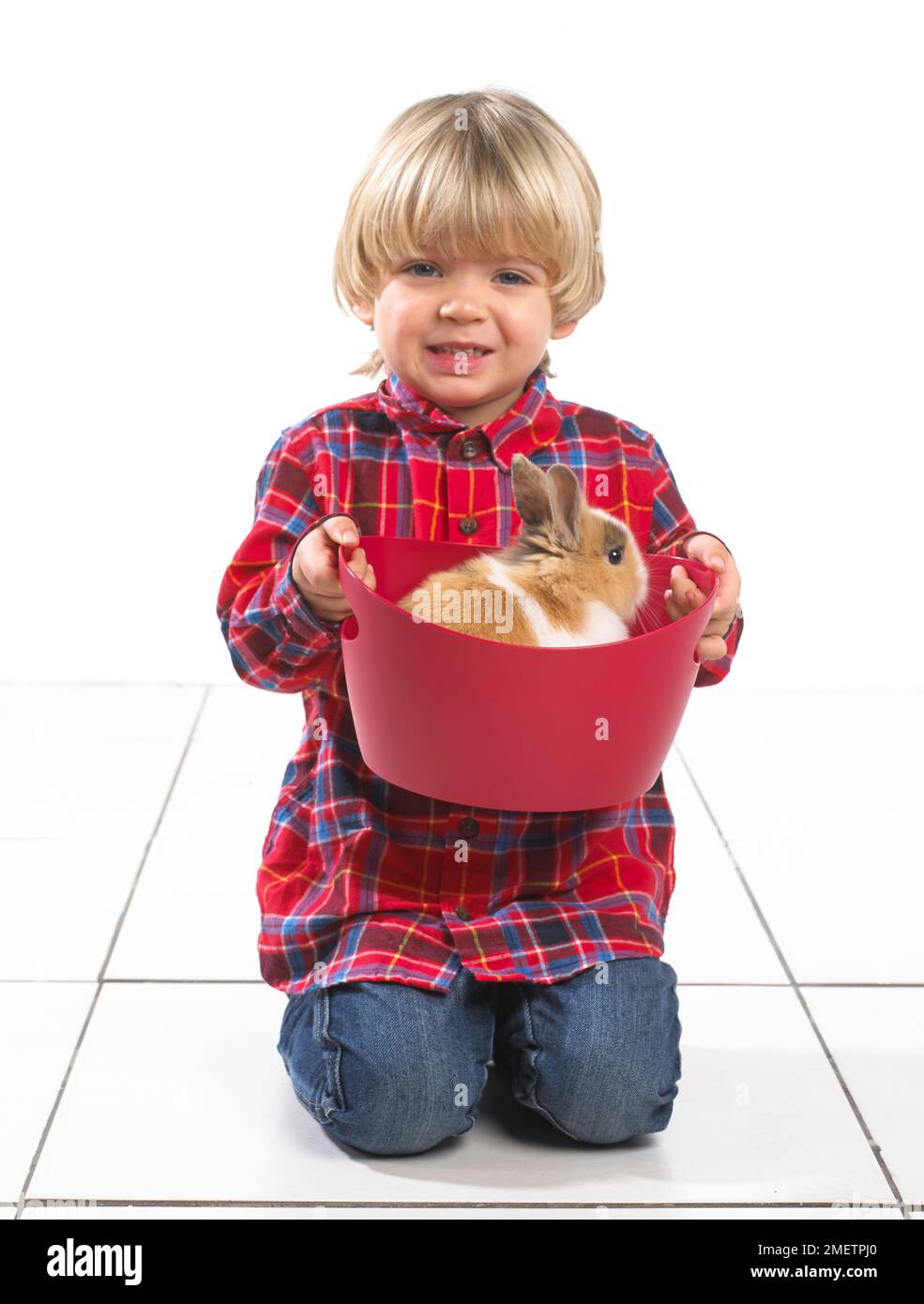 Young boy sitting holding a rabbit in a tub, 2 years Stock Photo - Alamy