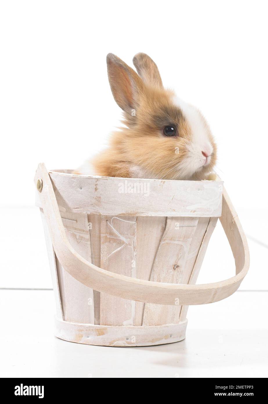 Sitting in bucket hi-res stock photography and images - Alamy