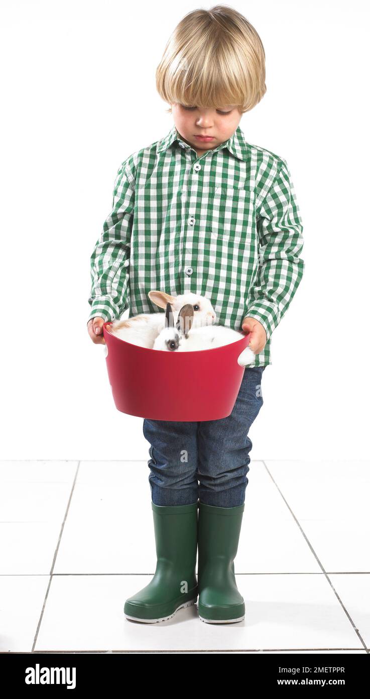 Young boy carrying two rabbits around in a tub, 2 years Stock Photo - Alamy