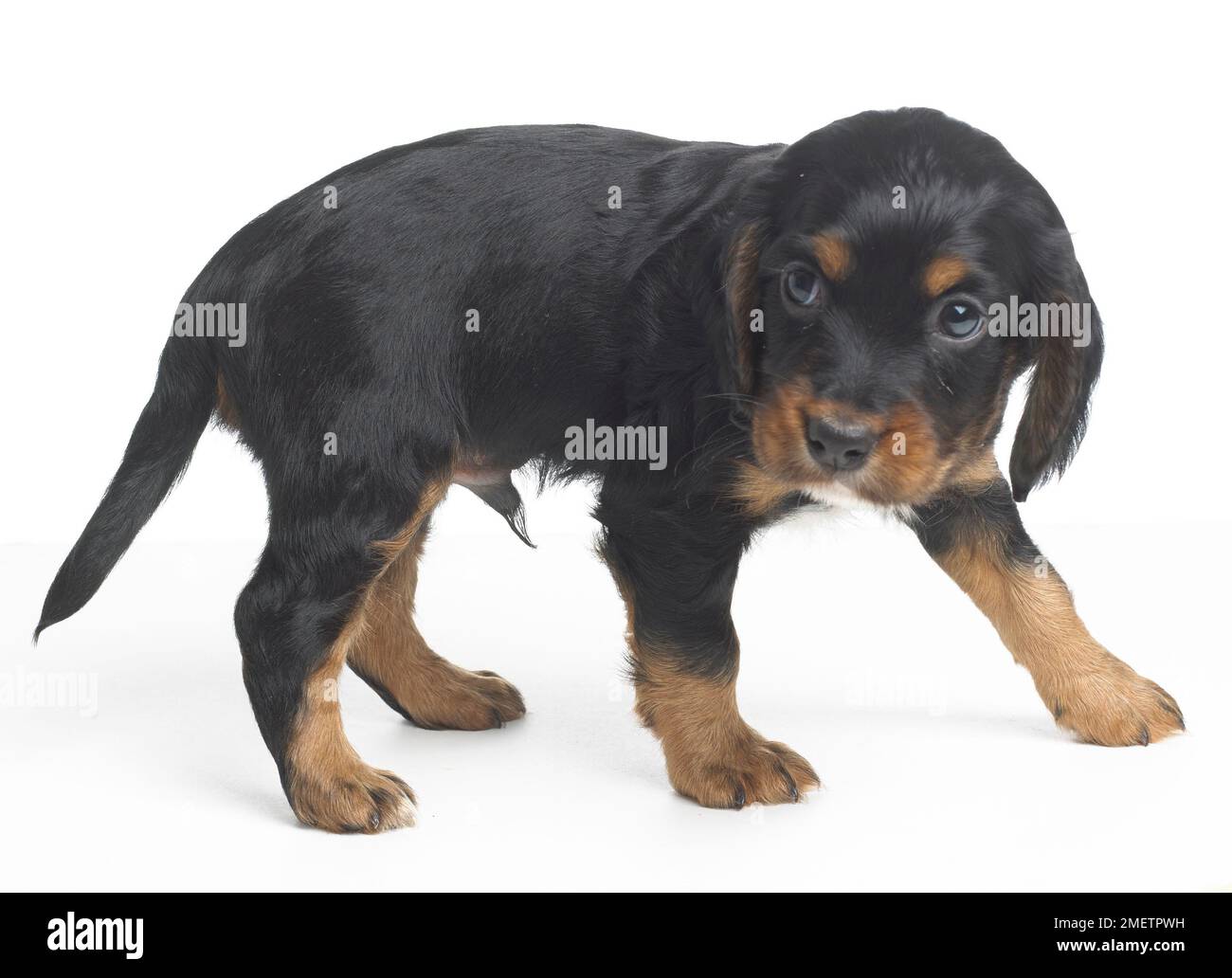 4 week old baby hi-res stock photography and images - Alamy