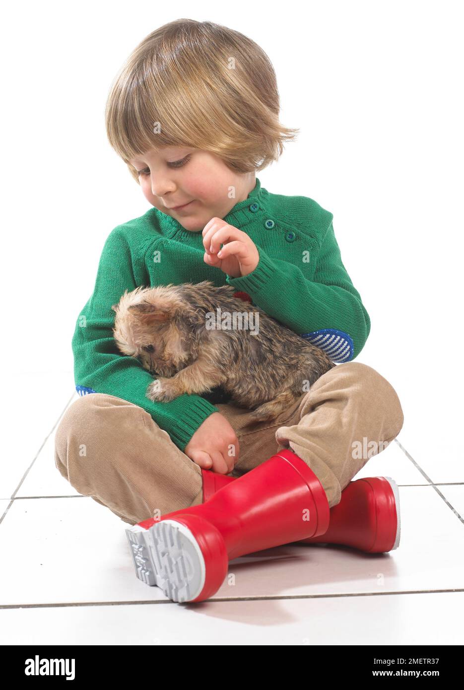 Child holding puppy dog hi-res stock photography and images - Alamy