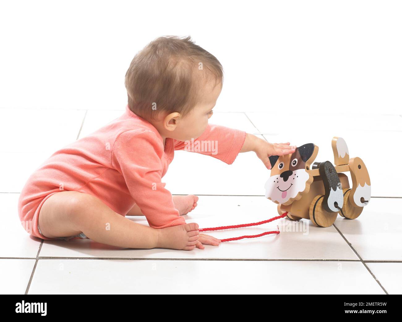 Pull along dog hi-res stock photography and images - Alamy