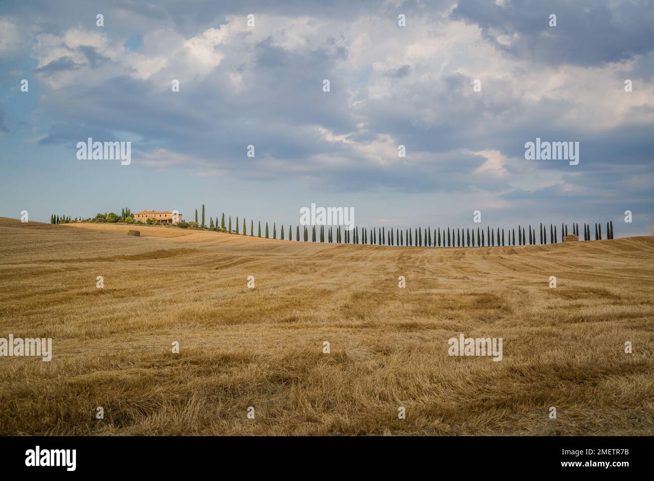 Iconic Tuscan landscape with cypress trees lined along road leading to ...