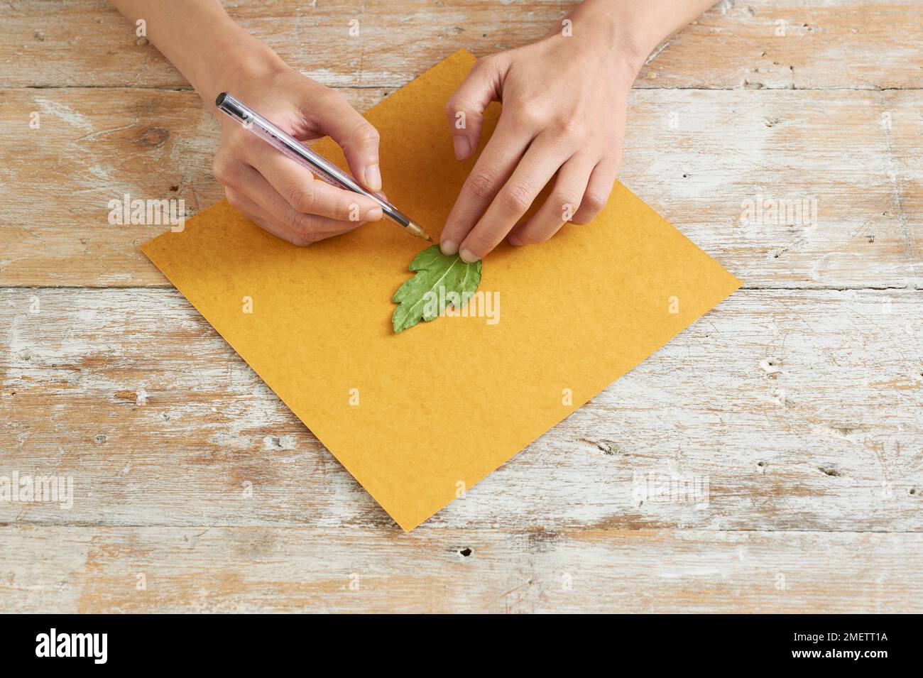 Leaf stencil, drawing outline of leaf Stock Photo - Alamy
