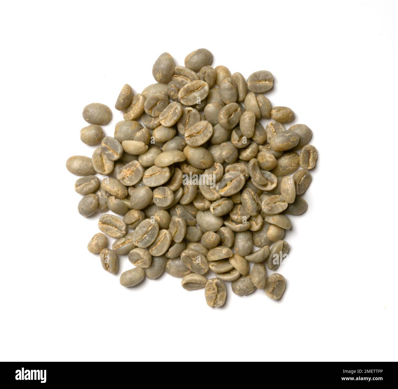 India, washed coffee beans Stock Photo - Alamy