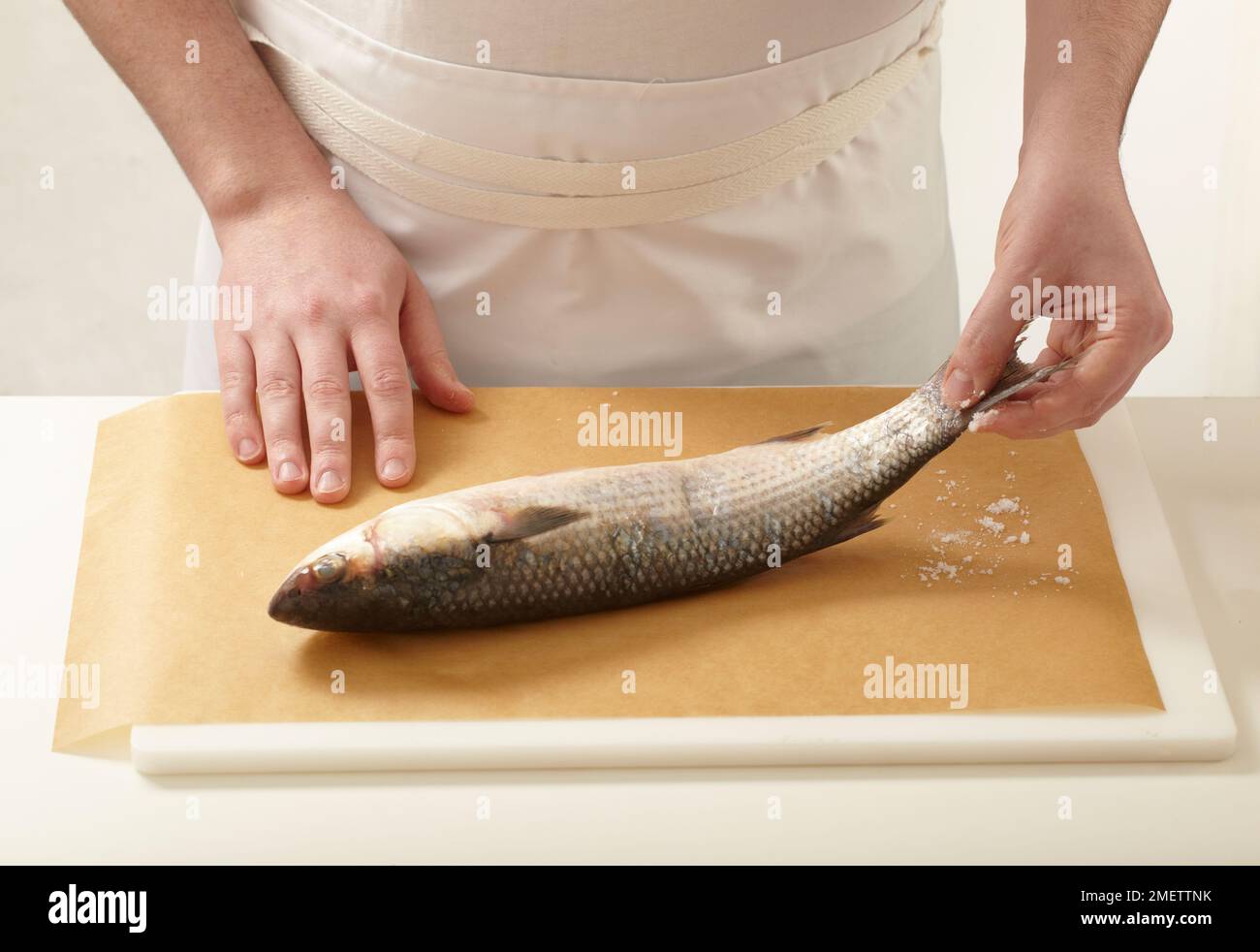 Holding grey mullet with salty fingers Stock Photo - Alamy