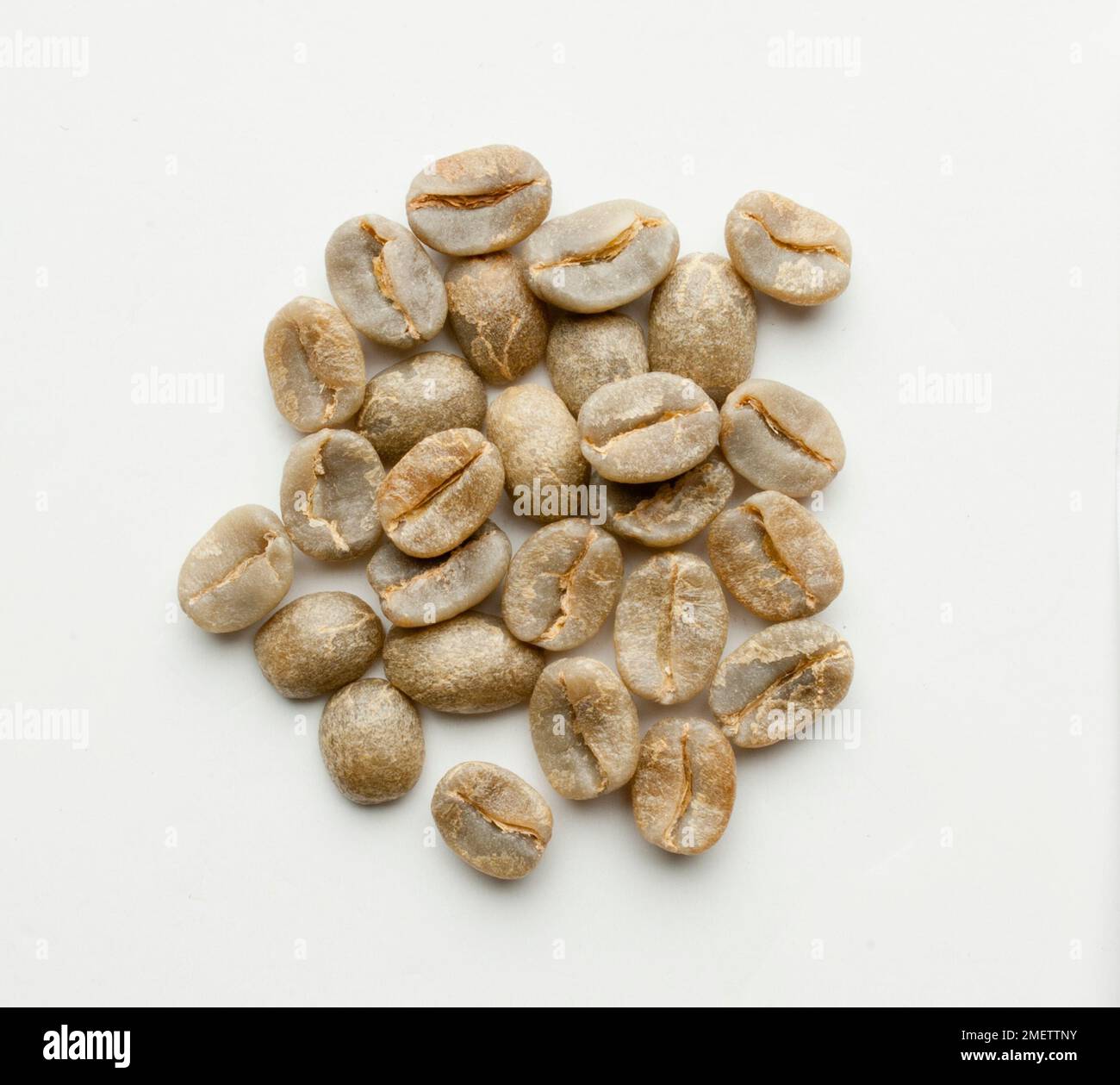 Costa Rica, Caturra yellow honey coffee beans Stock Photo - Alamy