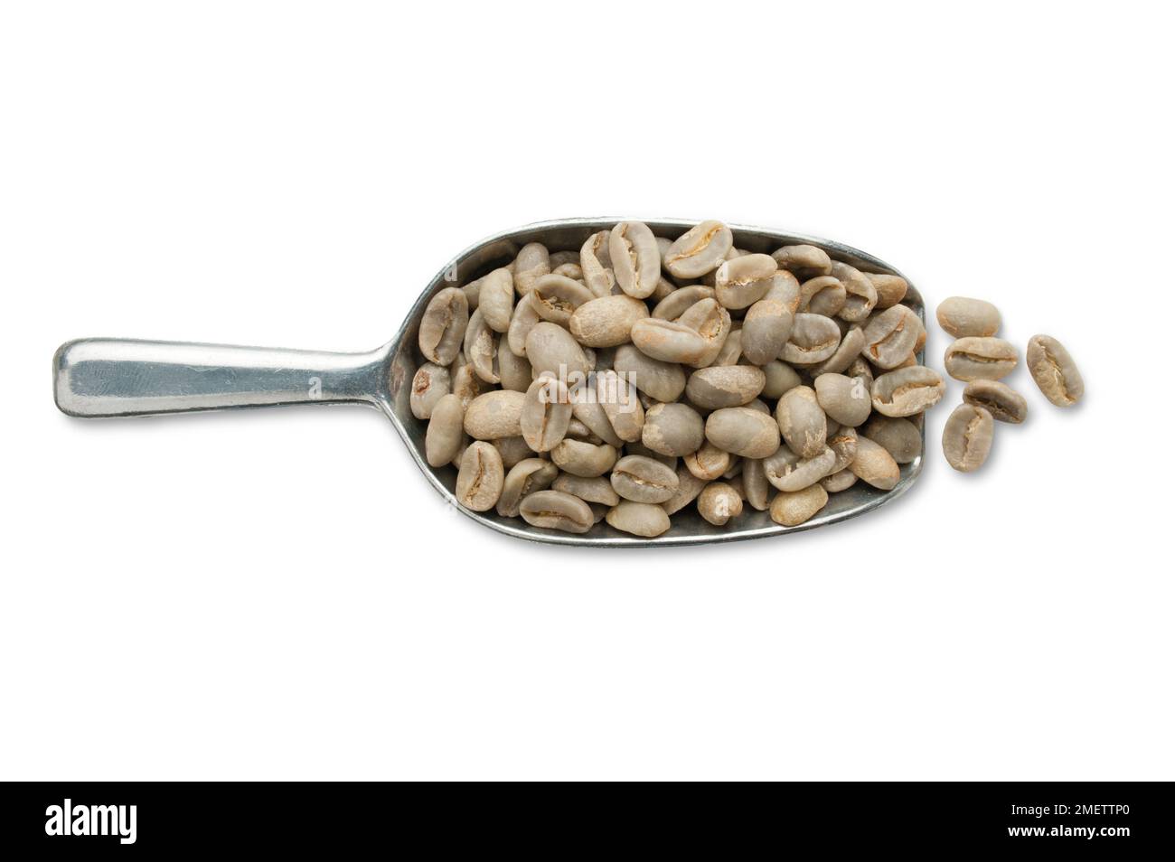 Panama, scoop of Washed Geisha coffee beans Stock Photo - Alamy