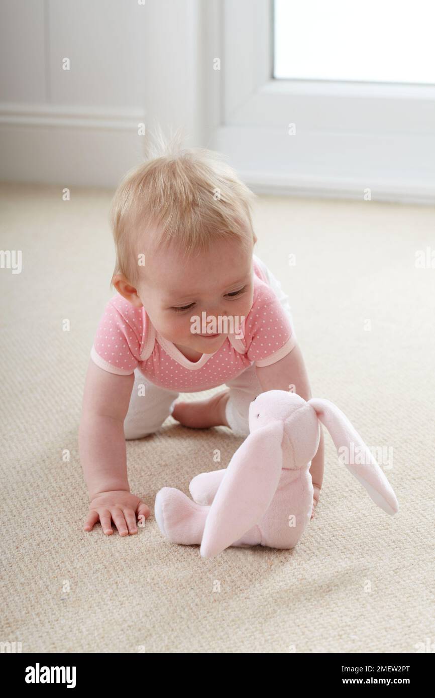Baby girl (9 months) with rabbit soft toy Stock Photo - Alamy