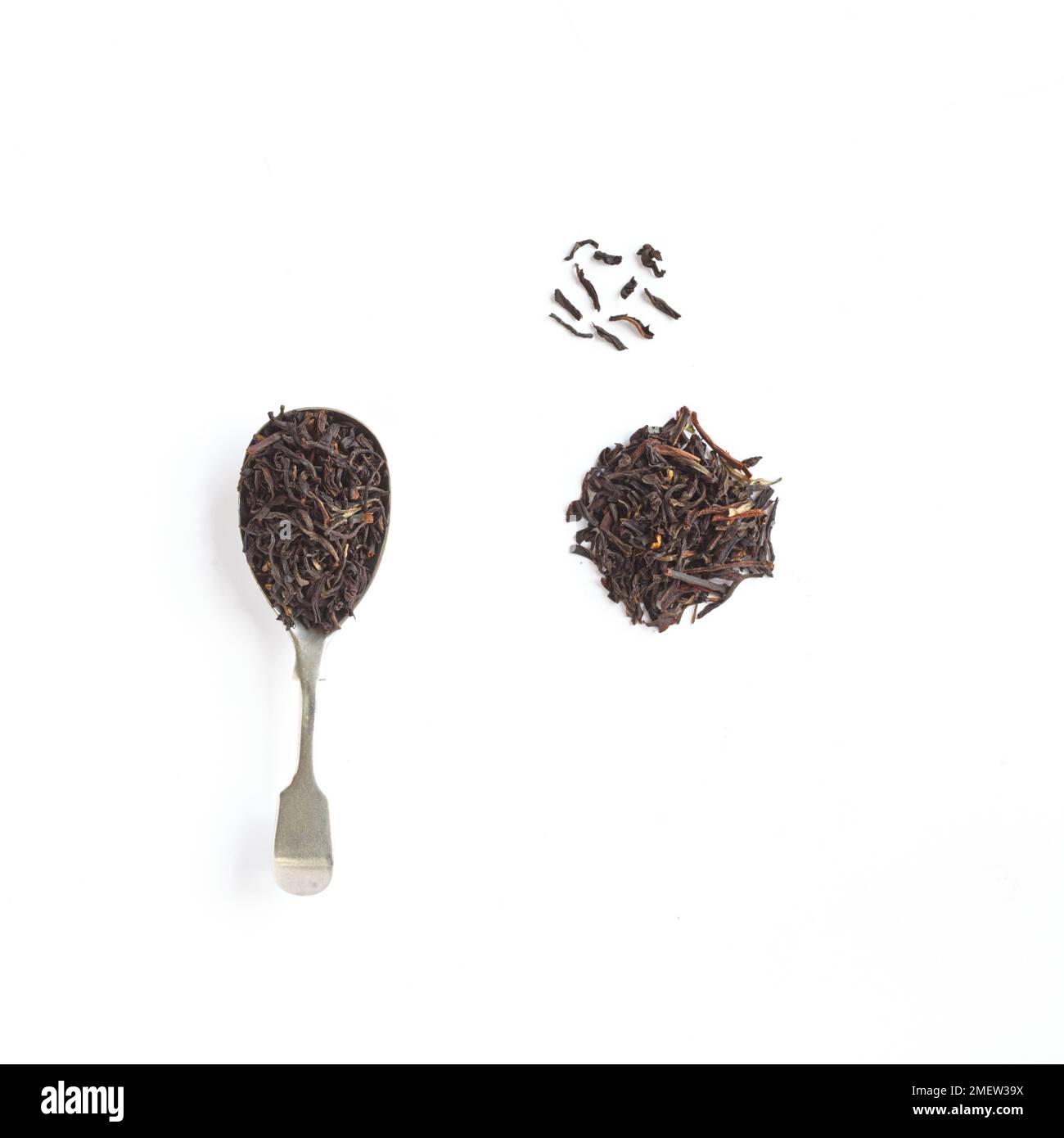 Tregothnan hi-res stock photography and images - Alamy