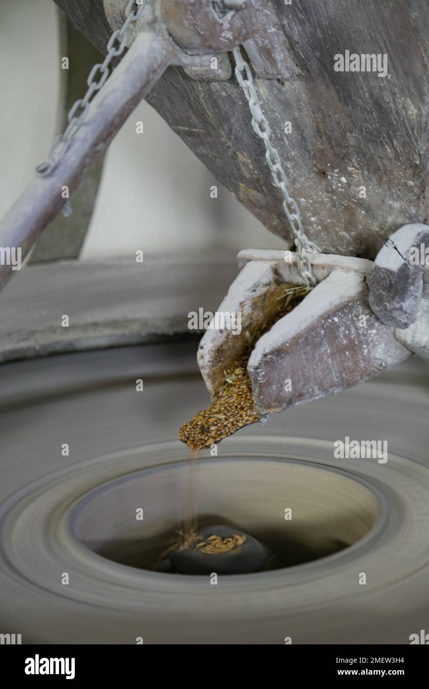 Wheat falling onto water-driven grindstone at Molino Grifoni, mill ...