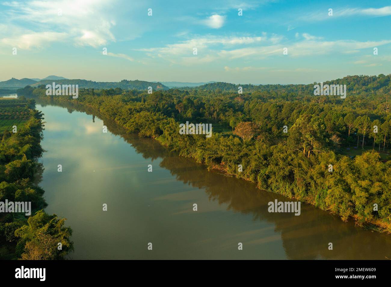 Rainforest lush humid woods drone hi-res stock photography and images - Alamy