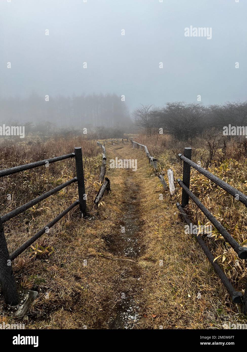 An empty rural trail with a wooden fence on a foggy day. Japan Stock ...