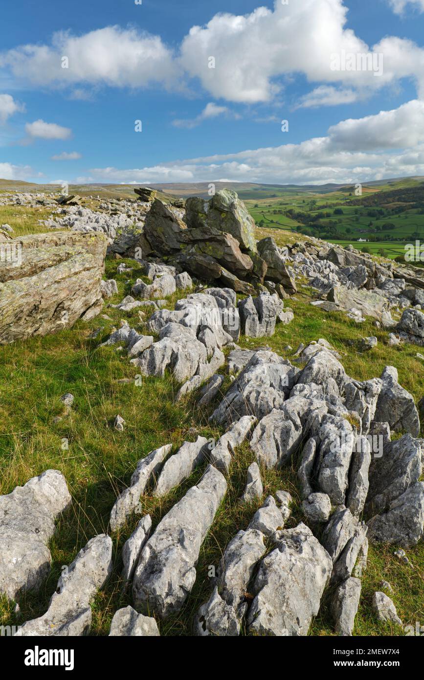 The Norber erratics, glacial erratic boulders on the southern slopes of ...
