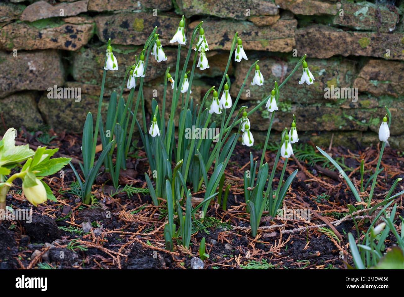Hayes garden hi-res stock photography and images - Alamy