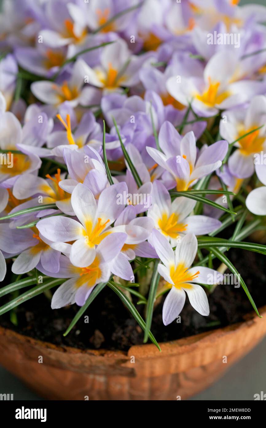 Class 104 hi-res stock photography and images - Alamy