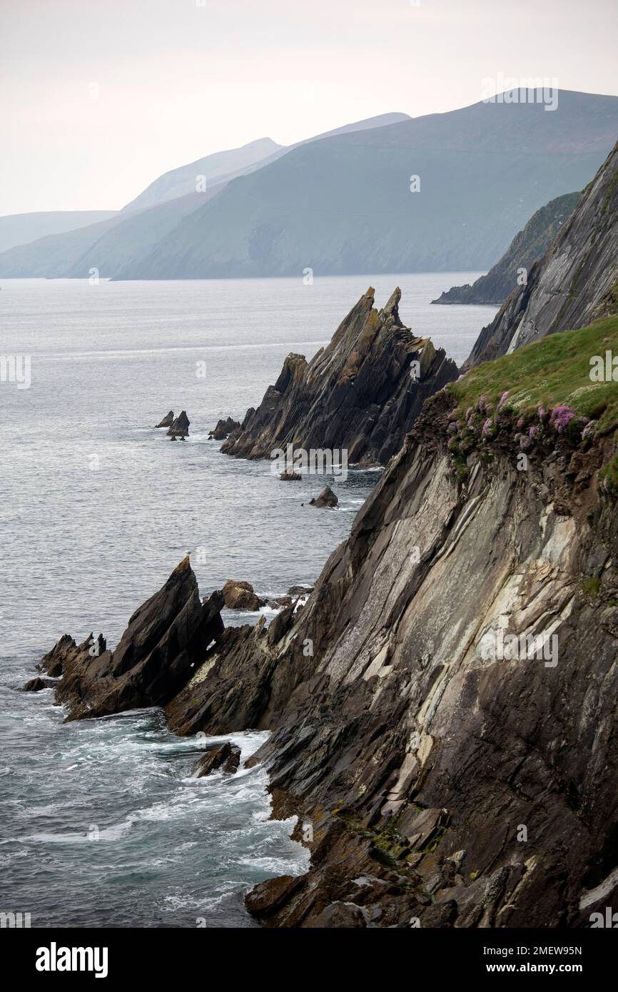 View of Blasket Sound and Great Blasket Island from cliffs at ...