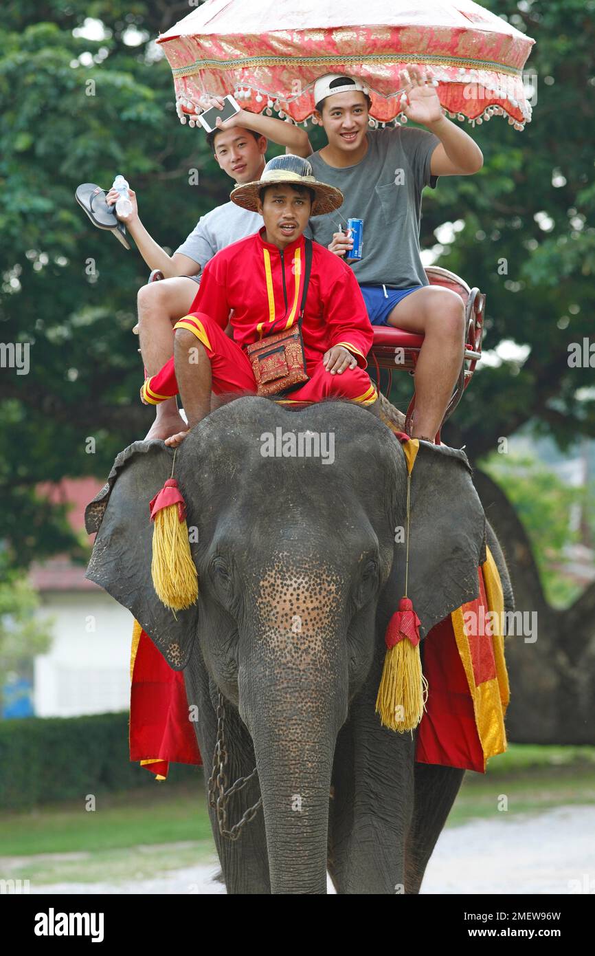 Elephant ayutthaya hi-res stock photography and images - Alamy
