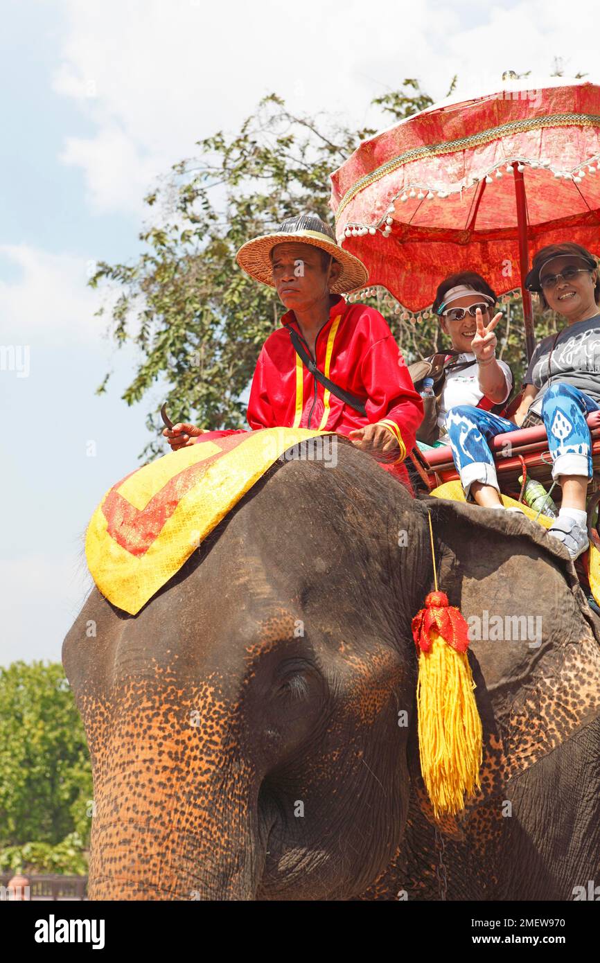 Woman riding an elephant hi-res stock photography and images - Alamy