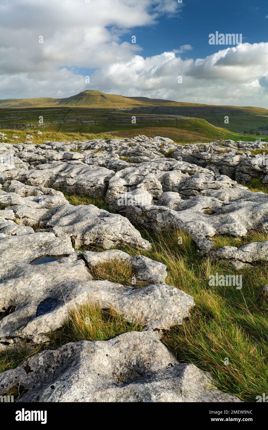 Limestone pavement on Twistleton Scar in the Yorkshire Dales National ...