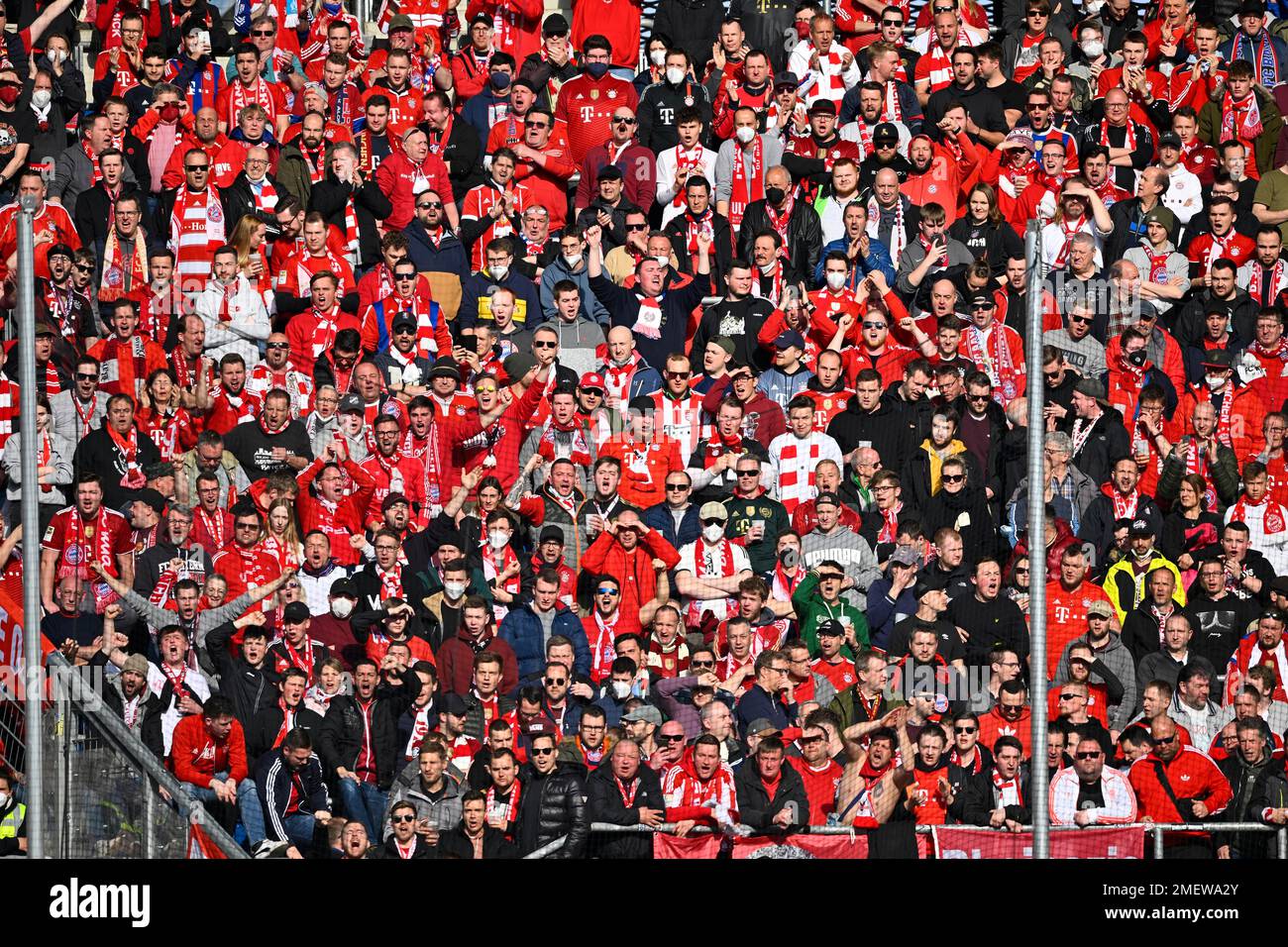 Fan block FC Bayern Munich, PreZero Arena, Sinsheim, Baden-Wuerttemberg ...