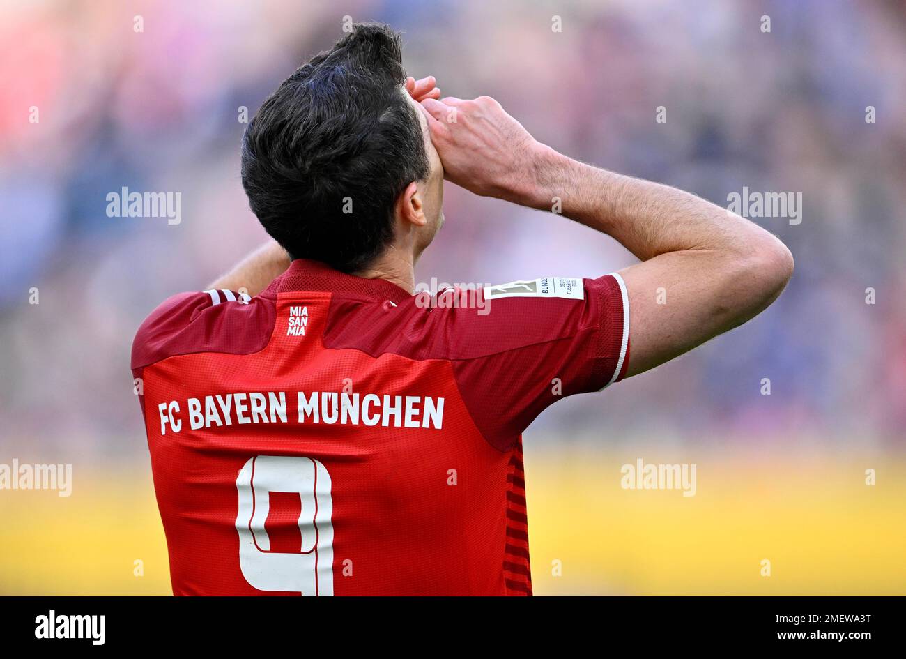 Lewandowski body hi-res stock photography and images - Alamy