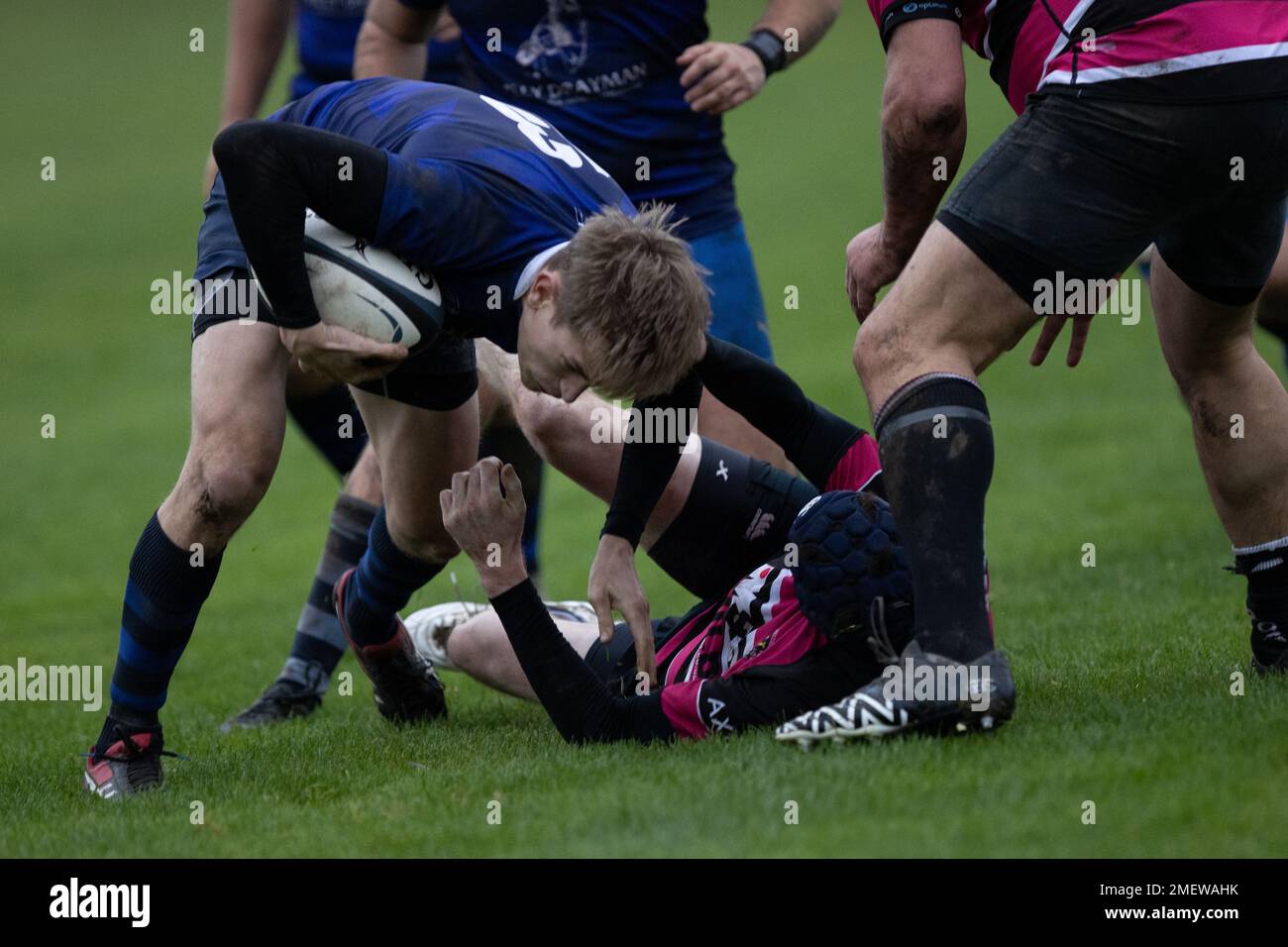 Rugby match, rugby game, rugby player, rugby scrum, rugby tackle, rugby ...