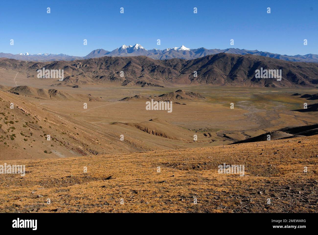 Snow-capped mountain peaks of the main Himalayan ridge near Peilko Tso ...