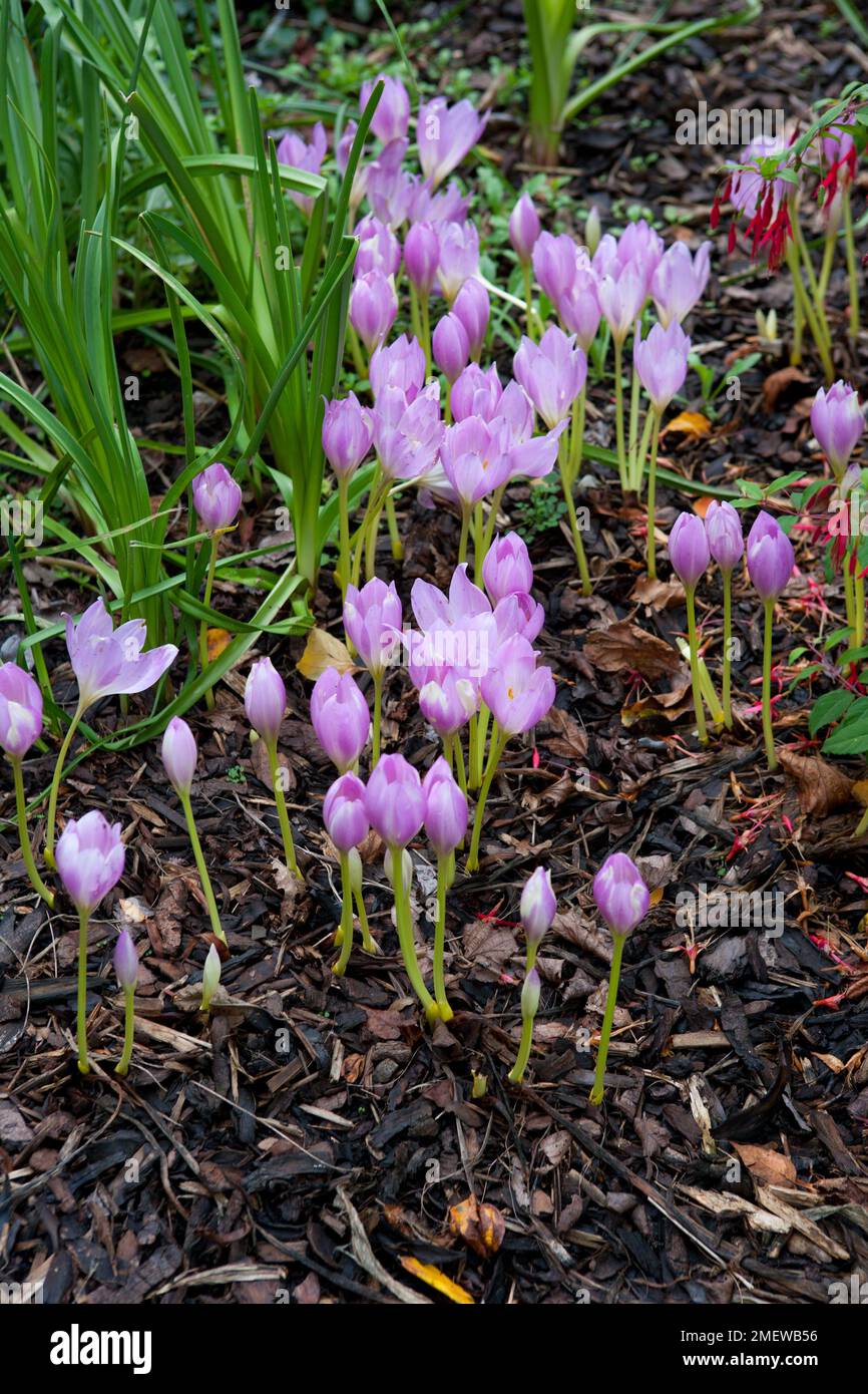 Agricultural wonder hi-res stock photography and images - Alamy