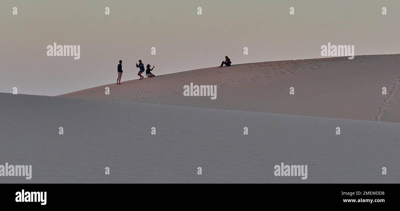 Dune in pale evening light, four people on dune, close, pale sky ...
