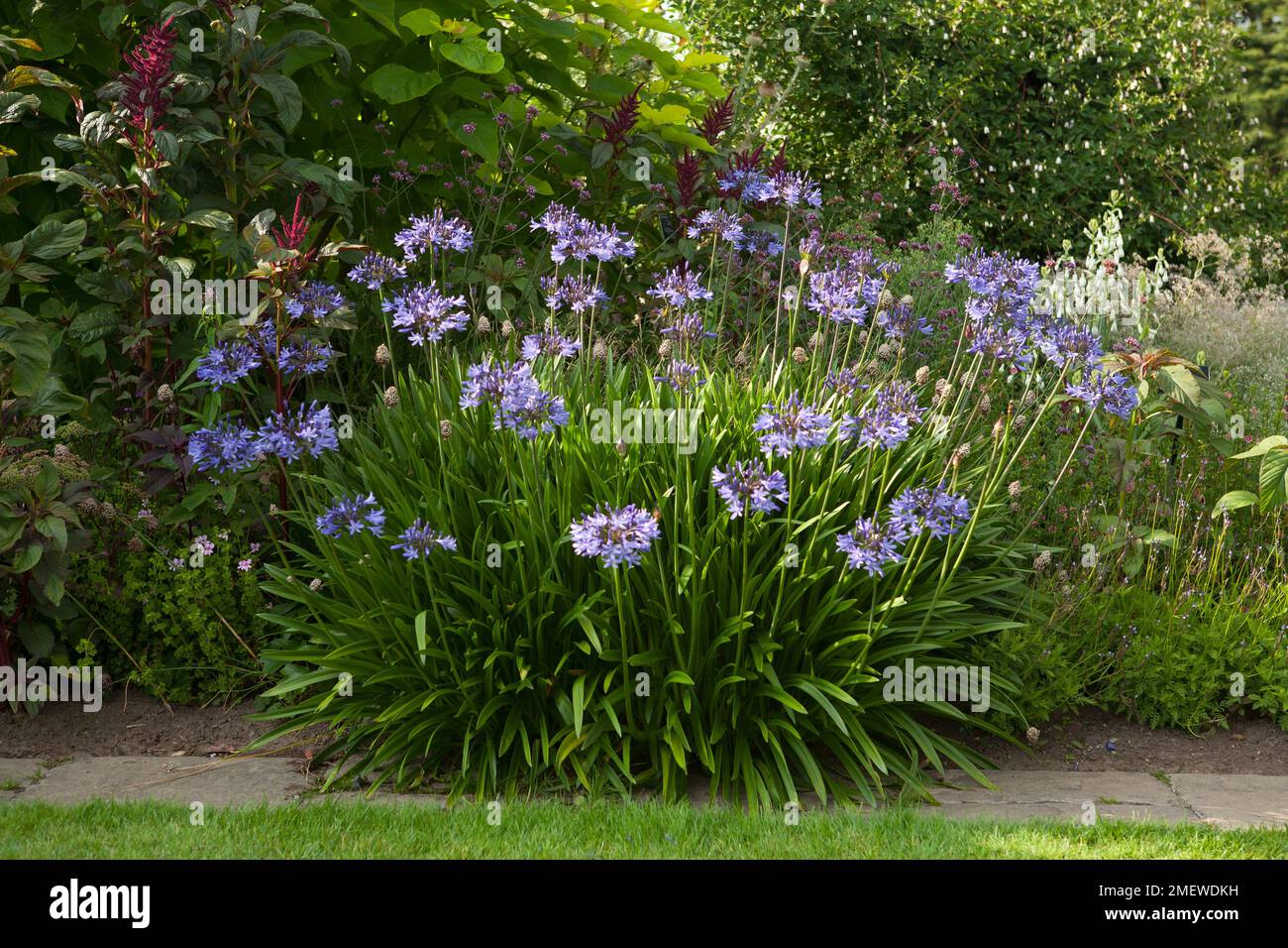 Midnight blue hi-res stock photography and images - Alamy