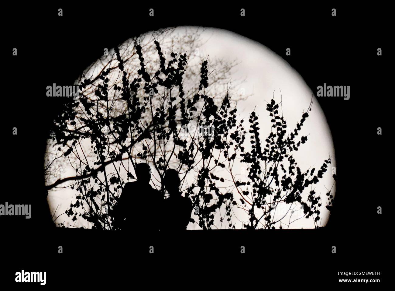 A couple are silhouetted against the rising full moon as they gather in ...
