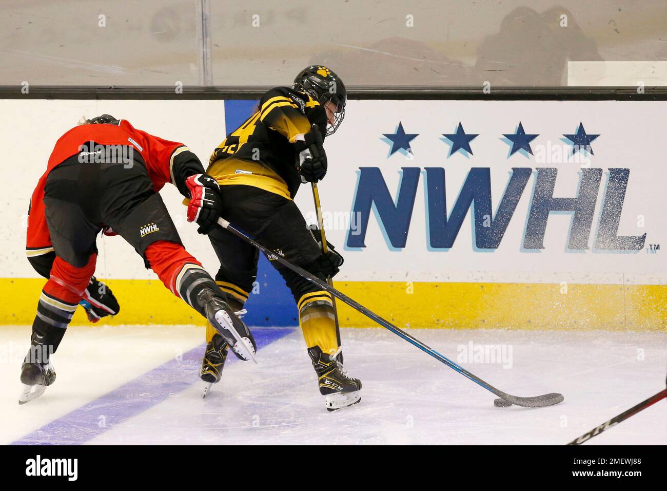 The Nwhl Logo Is Seen Along The Boards During A Wnhl Playoff Hockey