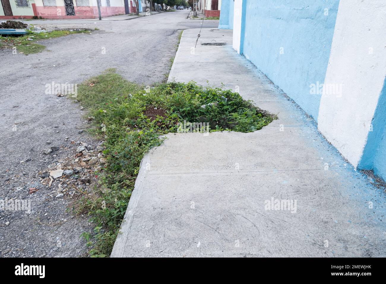 A hole in the pavement with weeds growing out of it in Cienfuegos, Cuba ...