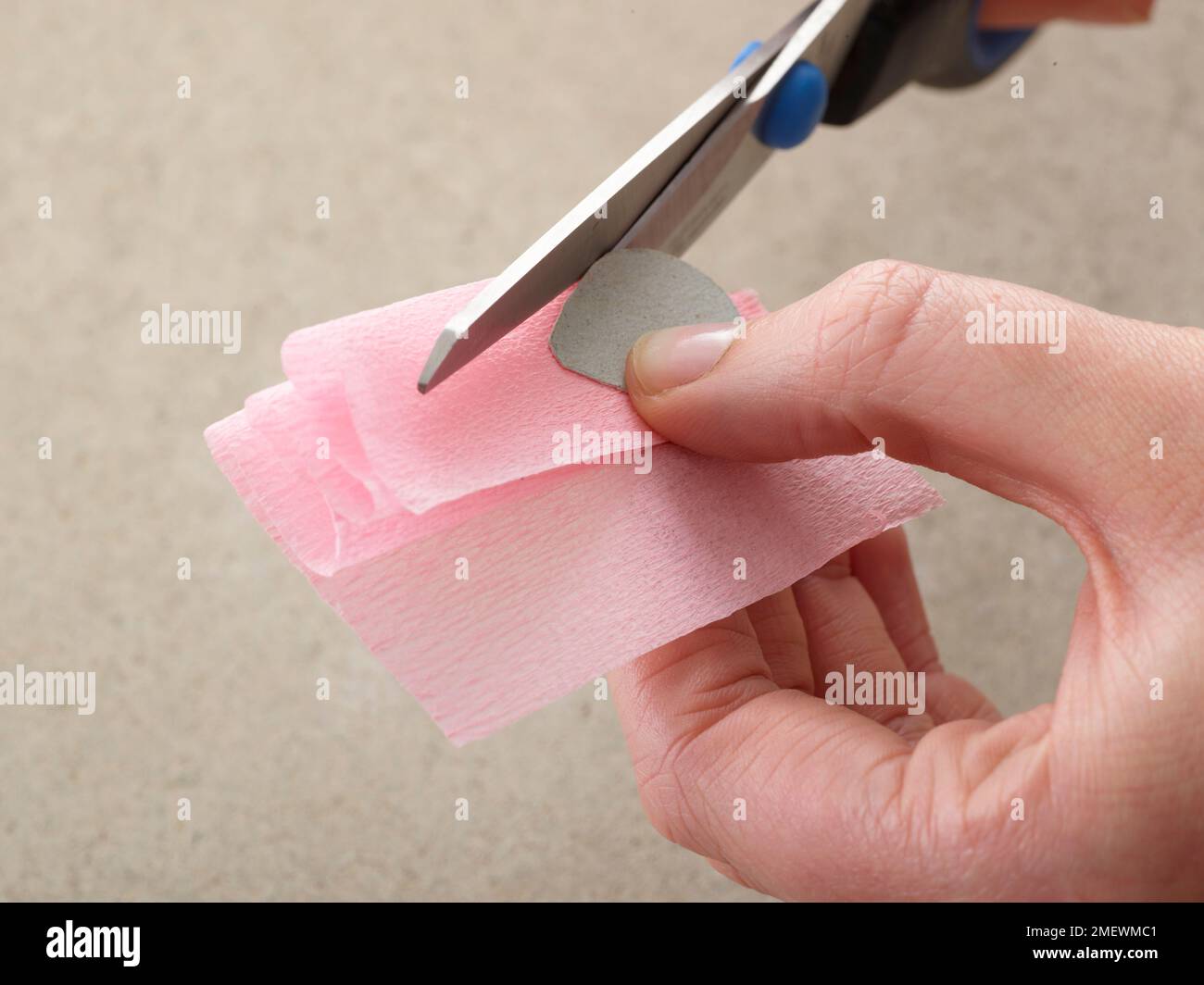 Paper cutting board hi-res stock photography and images - Alamy