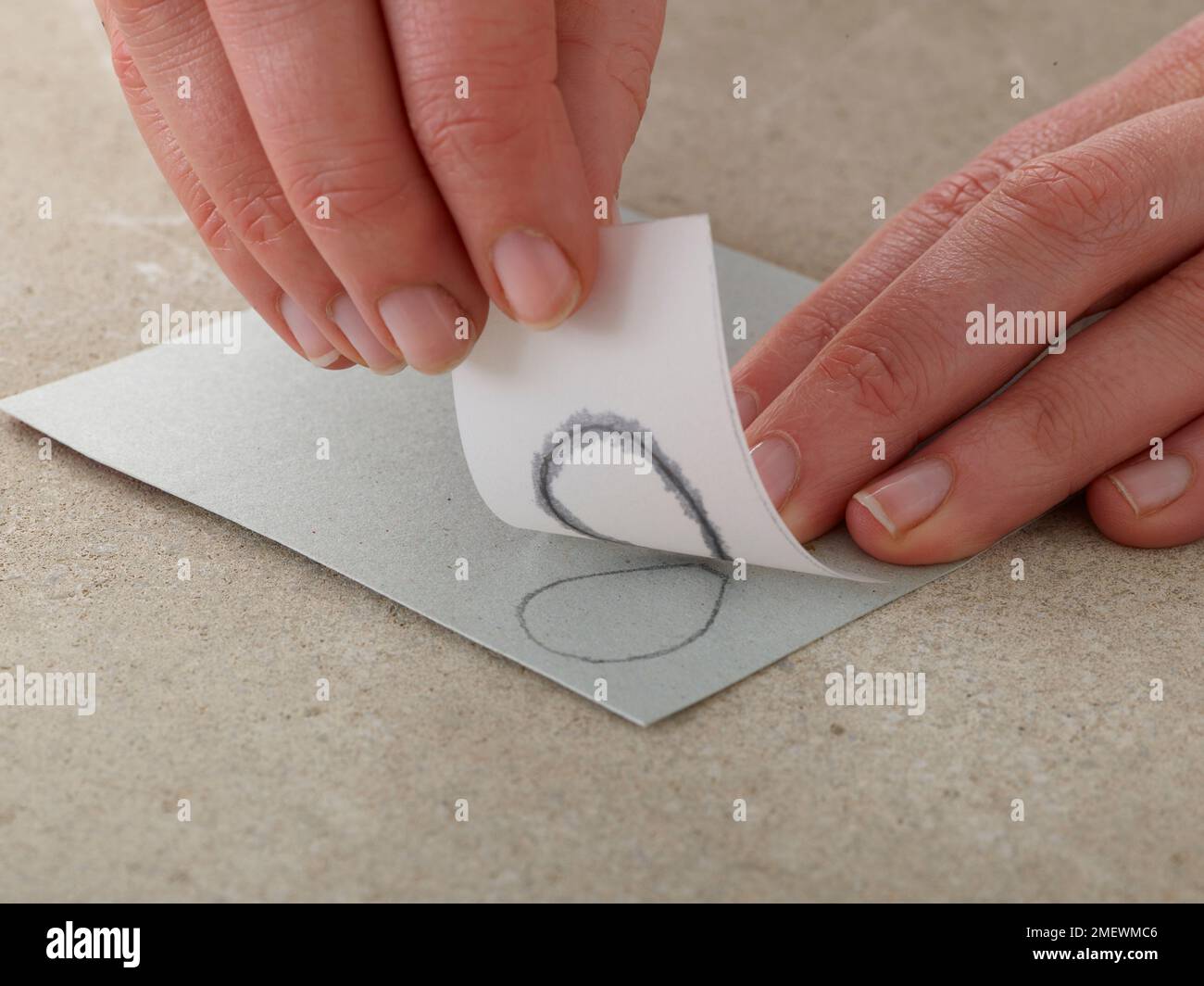 Papercraft. DIY Blossom, tracing shape of petal onto card Stock Photo ...