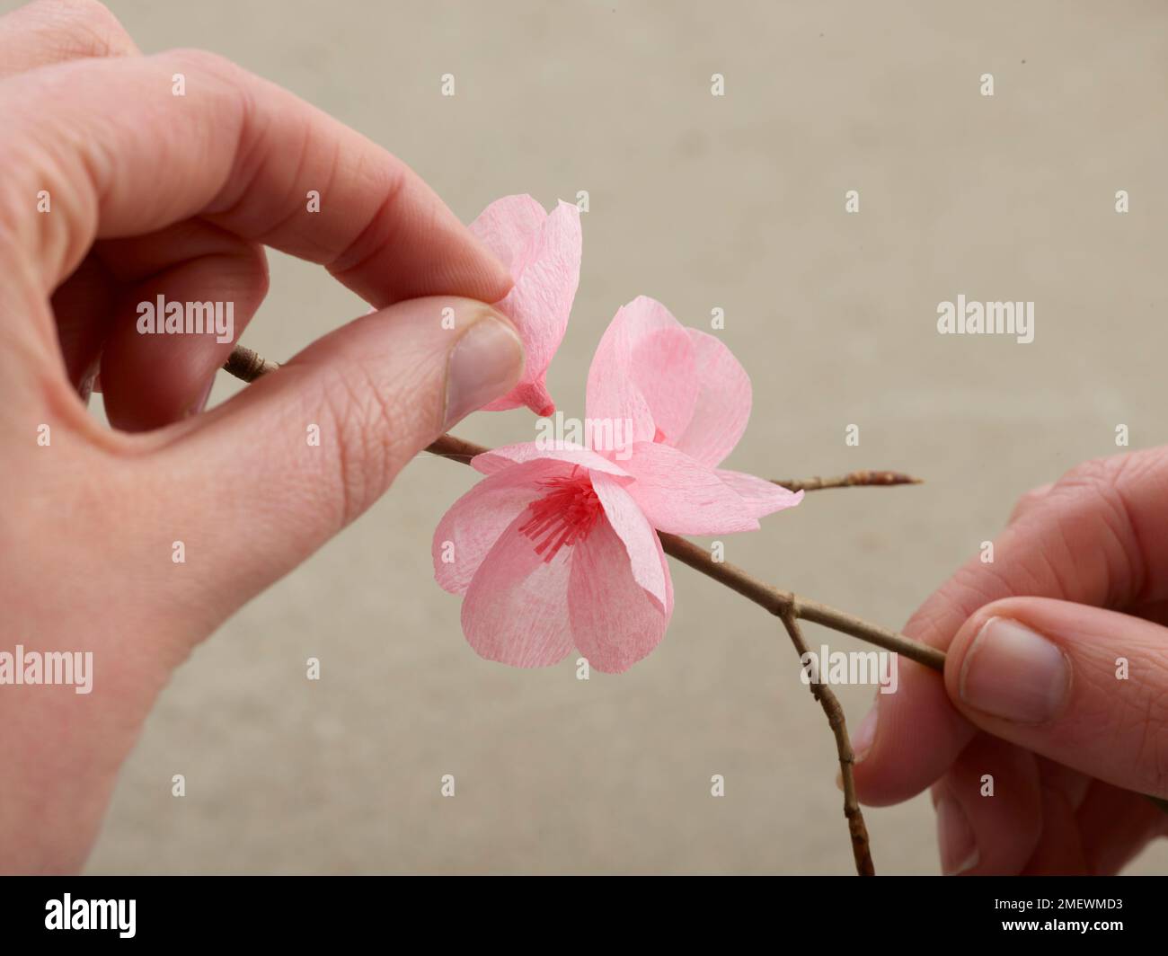 Attaching flowers hi-res stock photography and images - Alamy