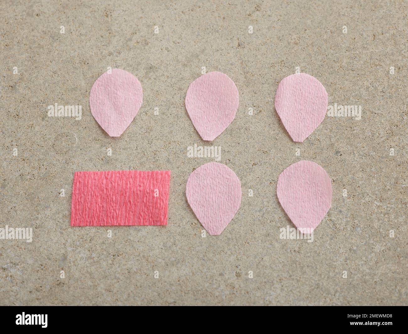 Papercraft. DIY Blossom, petals cut from pink crepe paper Stock Photo ...