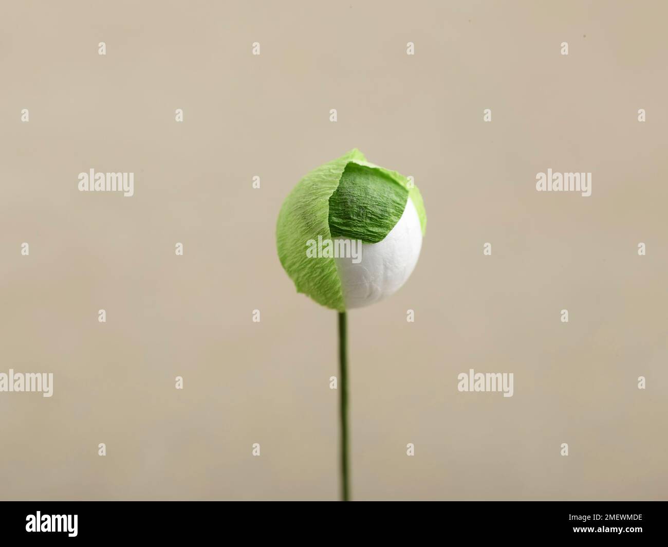 Papercraft. DIY Paper Ranunculus, petals added to polystyrene base ...