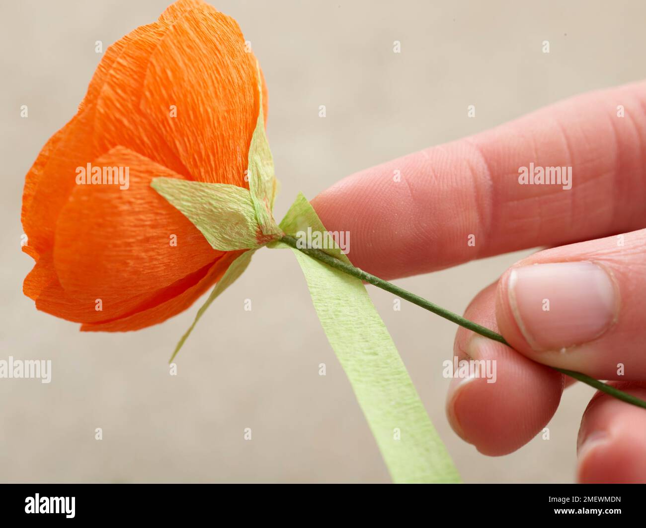Papercraft. DIY Paper Ranunculus wrapping the stem Stock Photo - Alamy