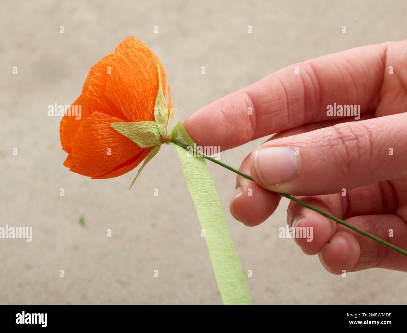 Papercraft. DIY Paper Ranunculus wrapping the stem Stock Photo - Alamy